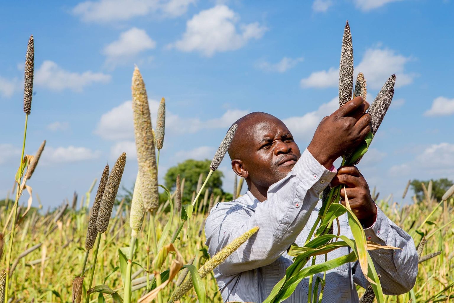 Ukraine-Russia Crisis: Another Wake-up Call For Home-grown Agricultural Solutions For Africa ...