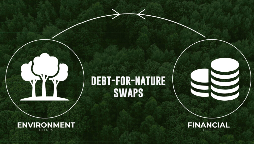 These African countries are reviving climate action investments through ...