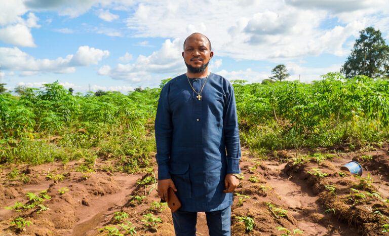 Cassava farmers in Nigeria are finding innovative ways to increase ...