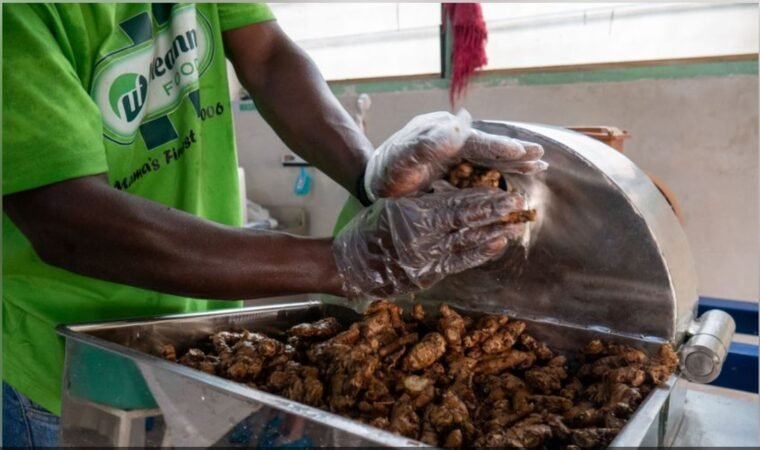 The agro entrepreneur redefining Ghana's local cuisine - Prime Progress NG