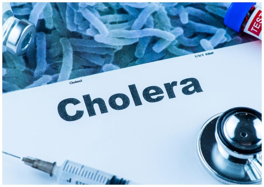 What the latest cholera outbreak says about inequality in Nigeria's ...